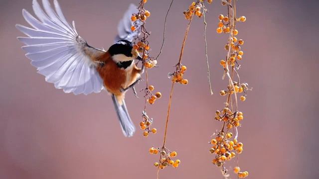 14 Обсуждение_темы_№7__«Святое»_Ключевое_откровение_