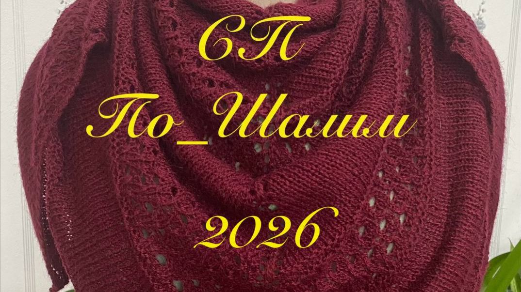 СП По_Шалим Отчёт Декабрь