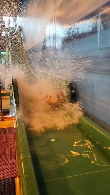 Окская жемчужина в Рязани