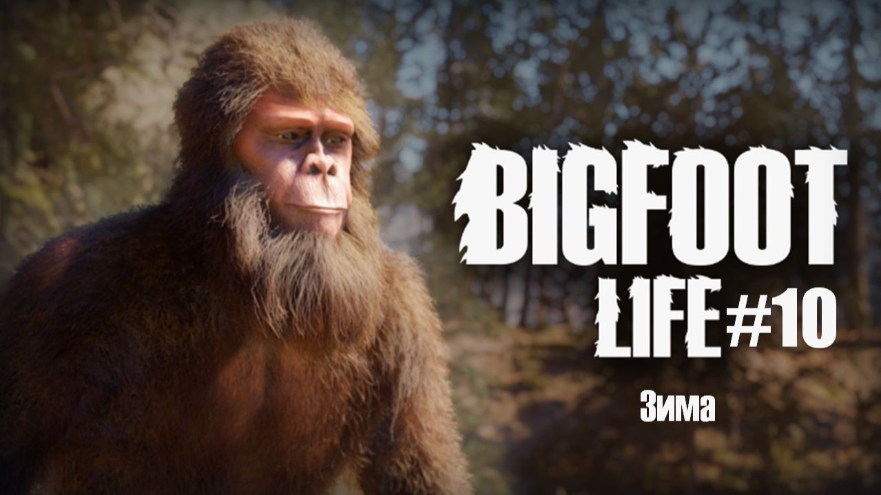 Bigfoot Life #10 / Зима