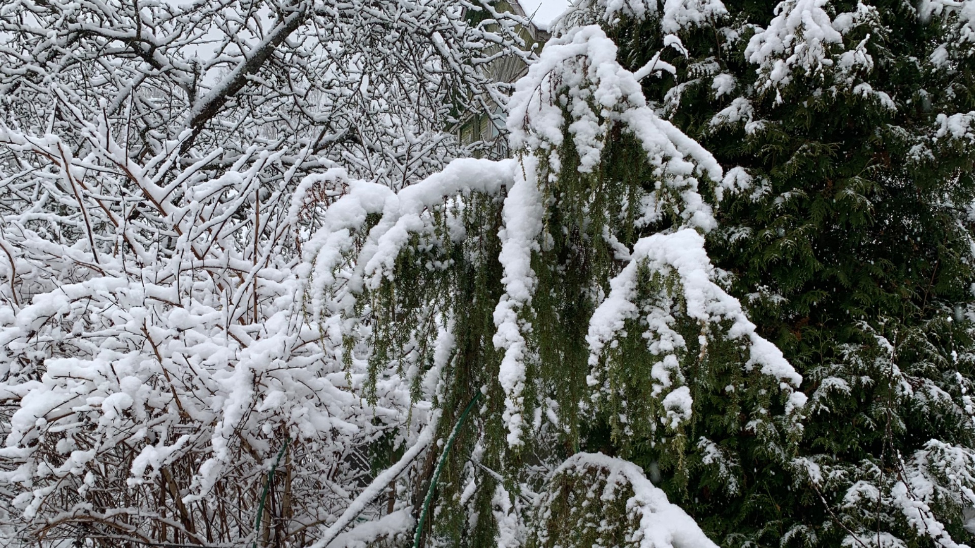 Дачный участок 28 декабря