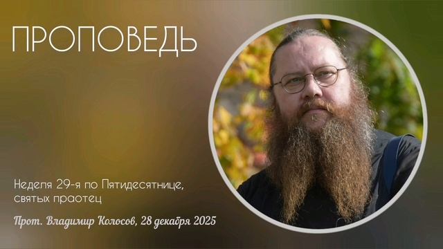 ПРОПОВЕДЬ, Неделя 29-я по Пятидесятнице, святых праотец, прот. Владимир Колосов. 2025