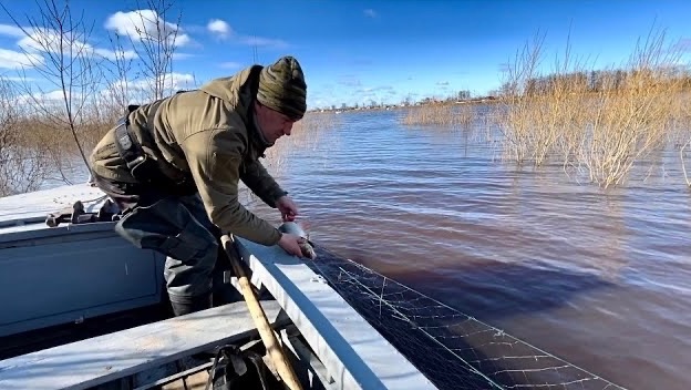 Рыба «кишит» в сетях. Последние дни весенней охоты. Ответы зрителям канала.