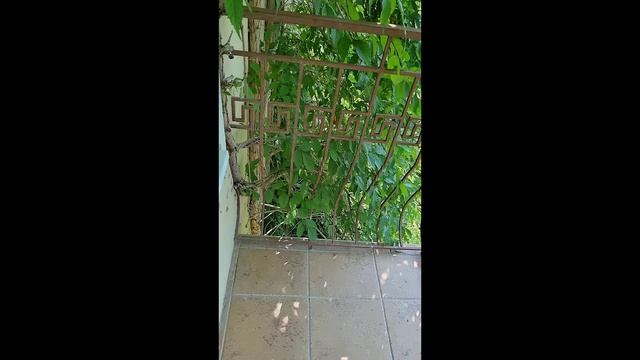 Номер 16 этаж 3 на 4 человека. Гостевой дом Баттерфляй. Судак.