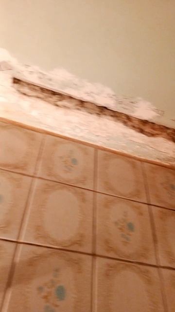 😀🔮⌛🛠️🏬🍳🛁