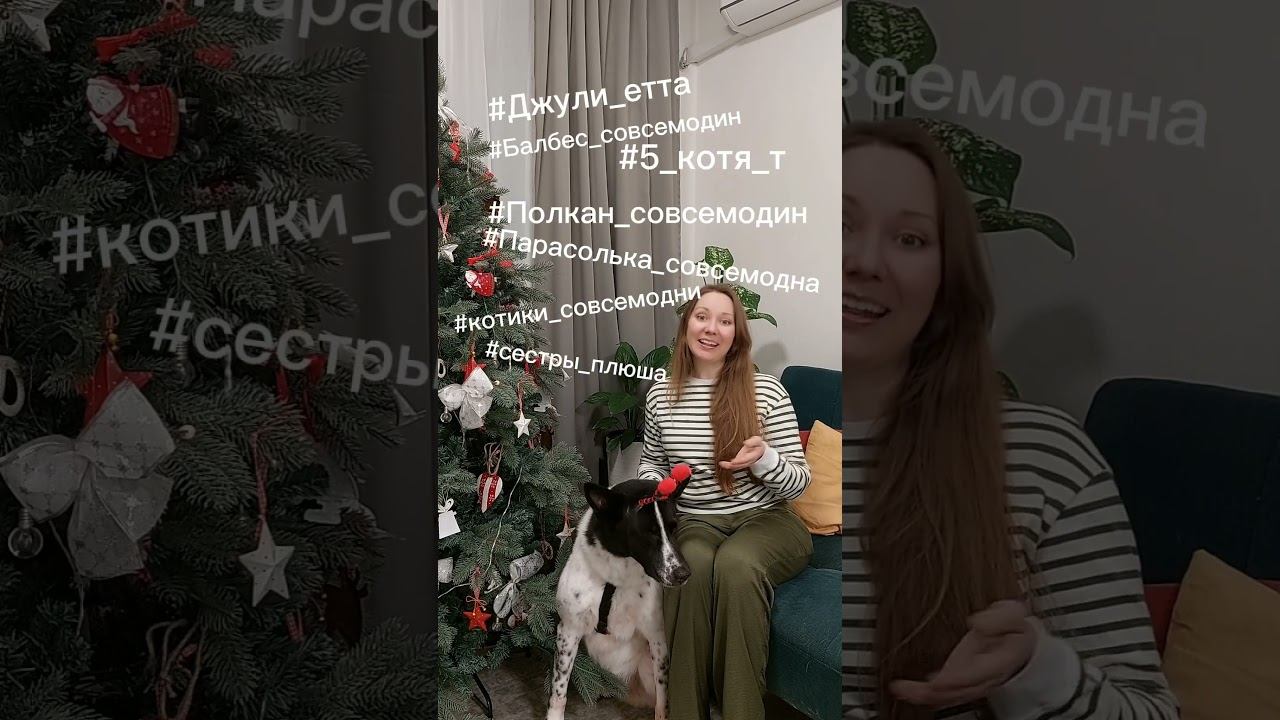 Поздравление с Новым 2025 годом от #КотПлюсДом #KotPlusDom #новыйгод