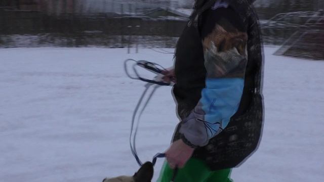 ПРК_Калужский Витязь Валькирия Мейз