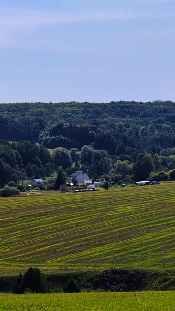 Другой жизни не будет // Не откладывай на завтра //  Яркие моменты