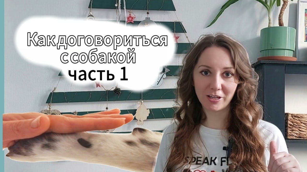 Плохое поведение собаки | Часть 1 | Щенок