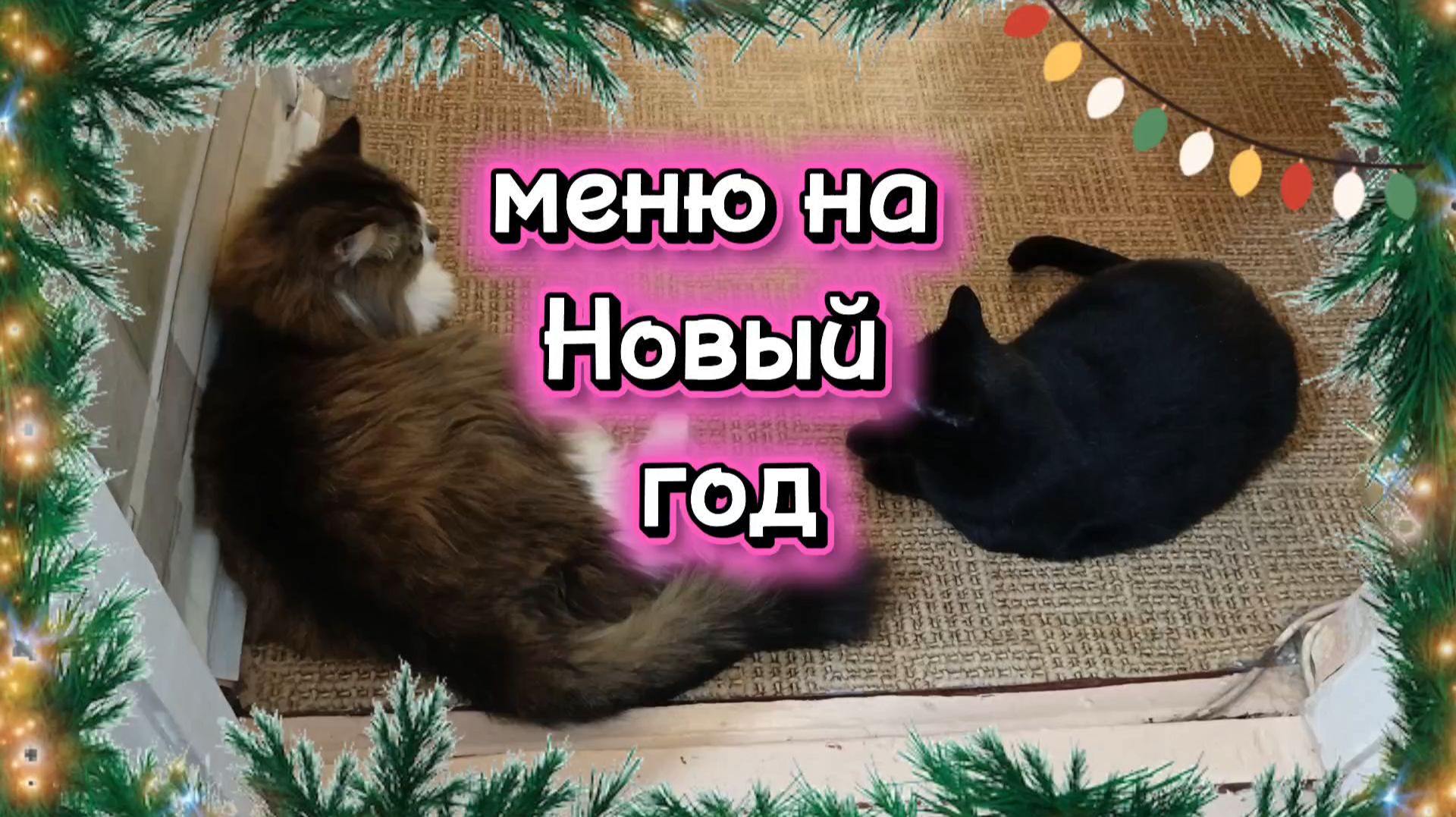 МЕНЮ НА НОВЫЙ ГОД. Кошки с озвучкой.