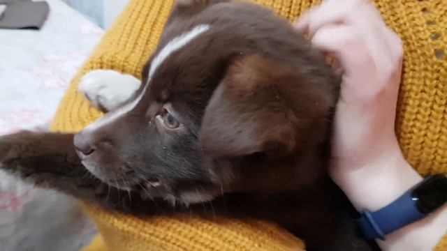 Привет из деревни !