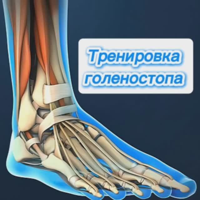 Мобильность и укрепление голеностопа