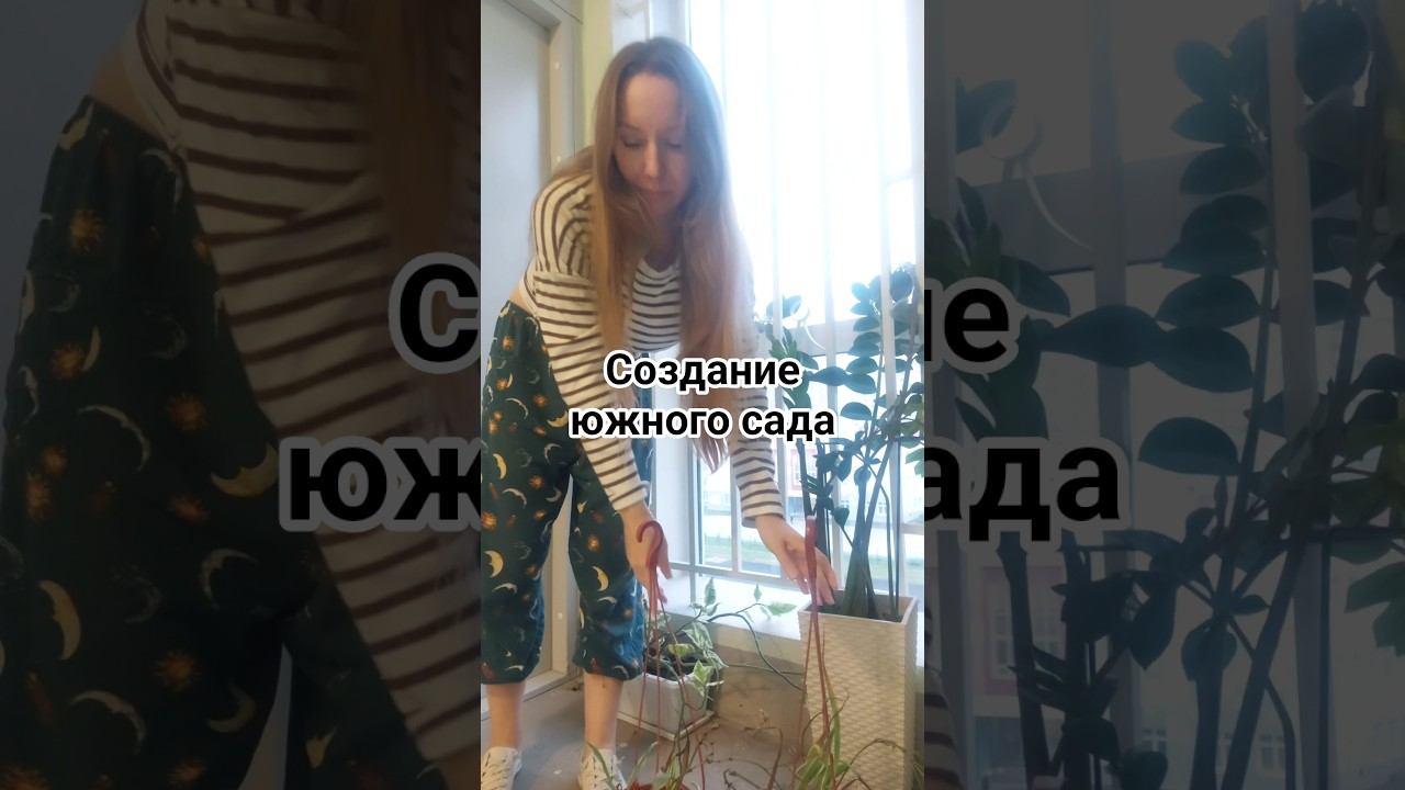 Озеленение подъезда с нуля #растения #садвподъезде #комнатныерастения