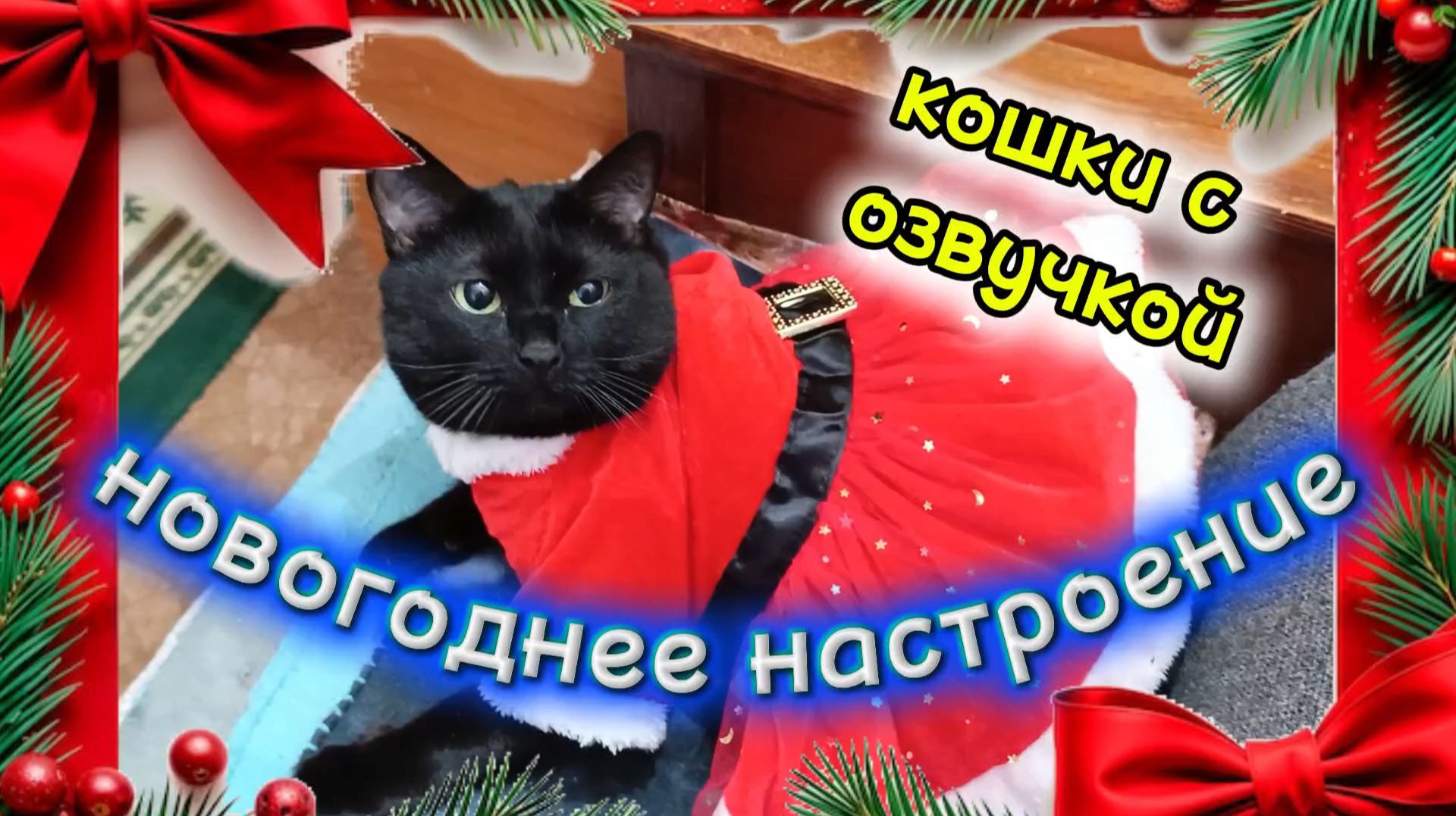 НОВОГОДНЕЕ НАСТРОЕНИЕ. Кошки с озвучкой.