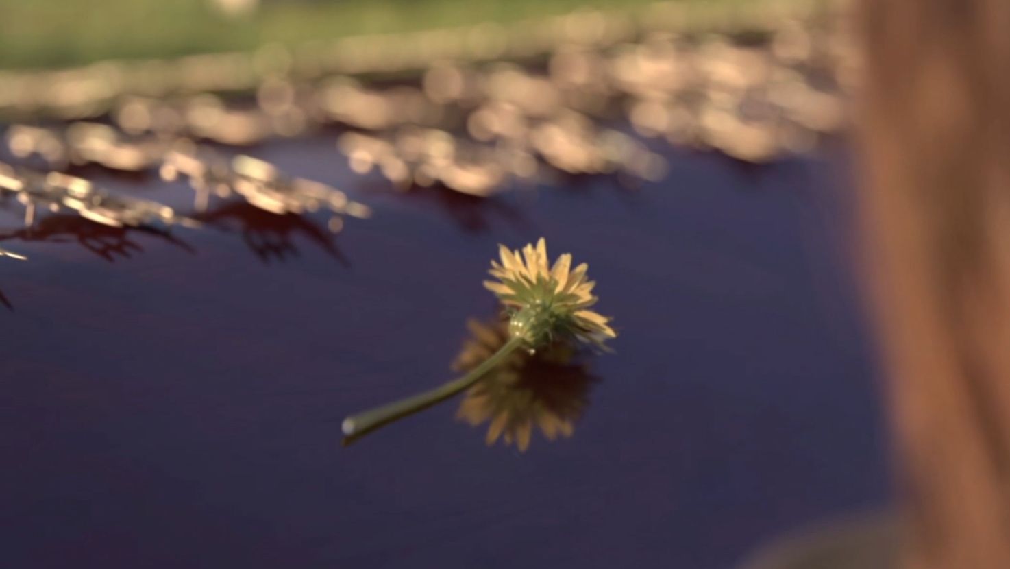 7 ЧАСТЬ Medal of Honor: Warfighter 2013 (Без комментариев)