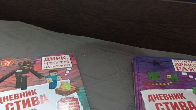 обзор дневник Стива 17