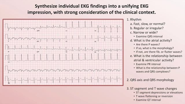17 Intro to EKG Interpretation - The 5 Cardinal Rules  Eric Strong