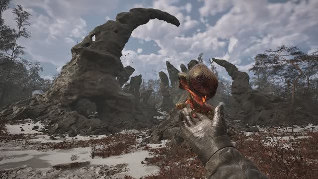 С.Т.А.Л.К.Е.Р. 2 -Аномалия Симбионт