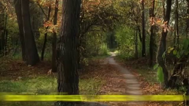 Я хочу быть подобен Христу.