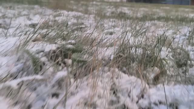 Замерзание карбюратора