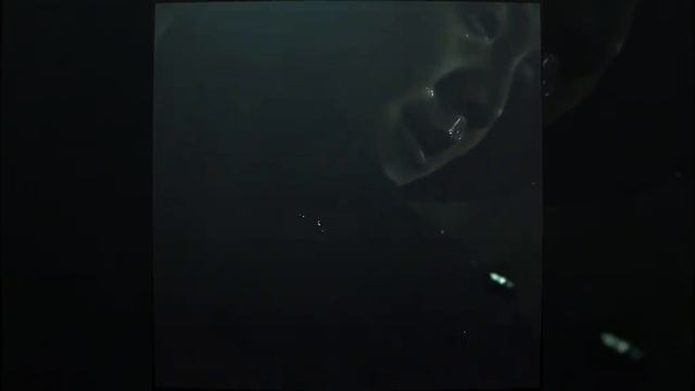 Чон Барым эдит