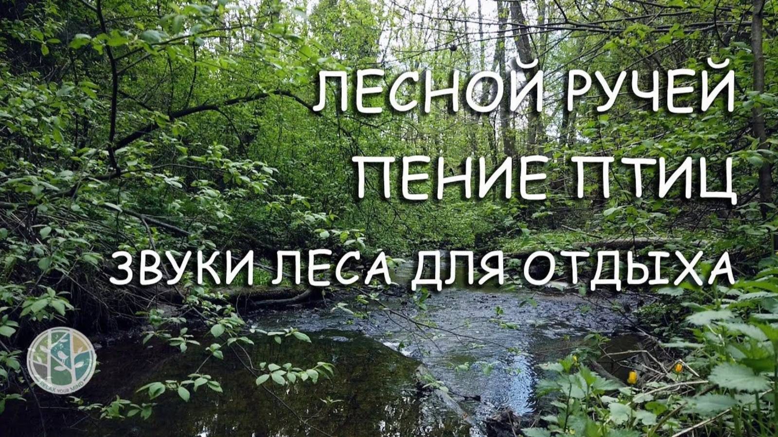 Успокаивающие Звуки Природы Пение Птиц, Шум Воды для релаксации.