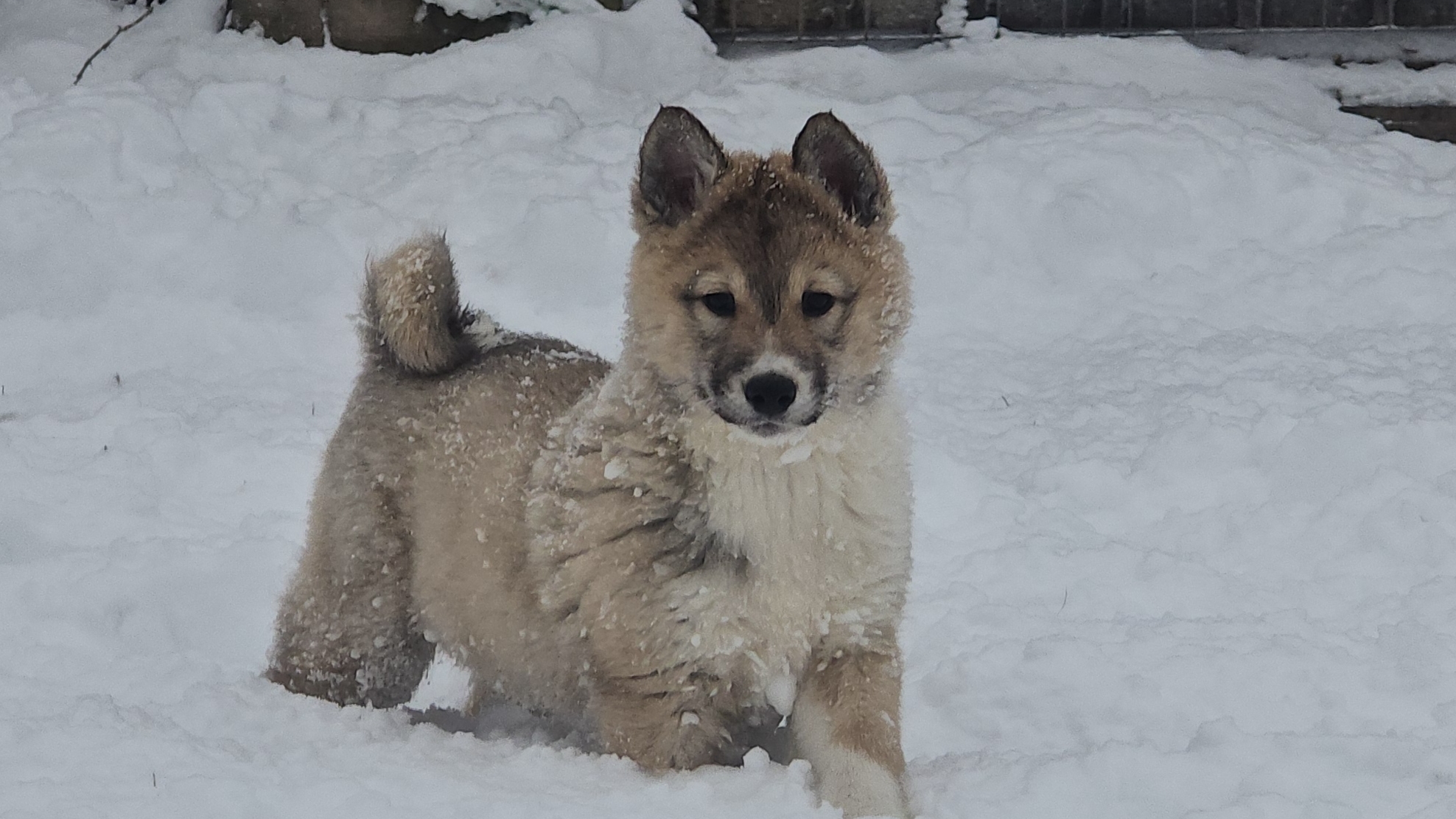 Уборка территории