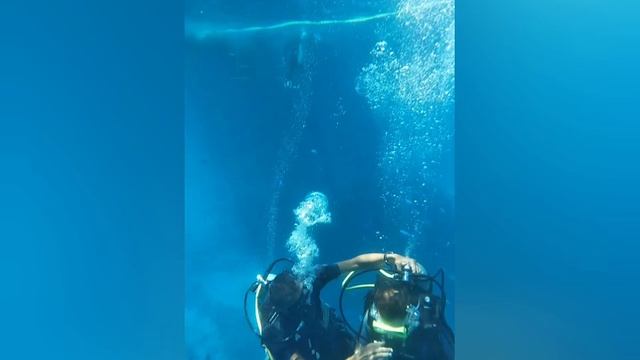 Египет 2025 _ морская прогулка