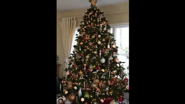 Соня из 10б рассказывает о рождественских свечах