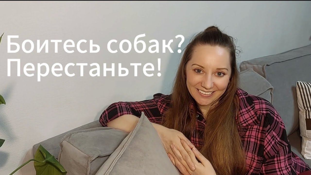 Как избавиться от страха собак/ Как появляется страх