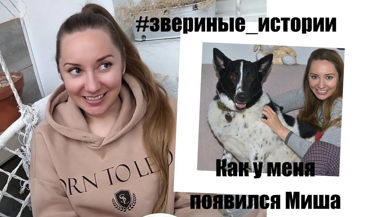 Как у меня появилась моя первая собака/ Звериные истории/ Мой Миша