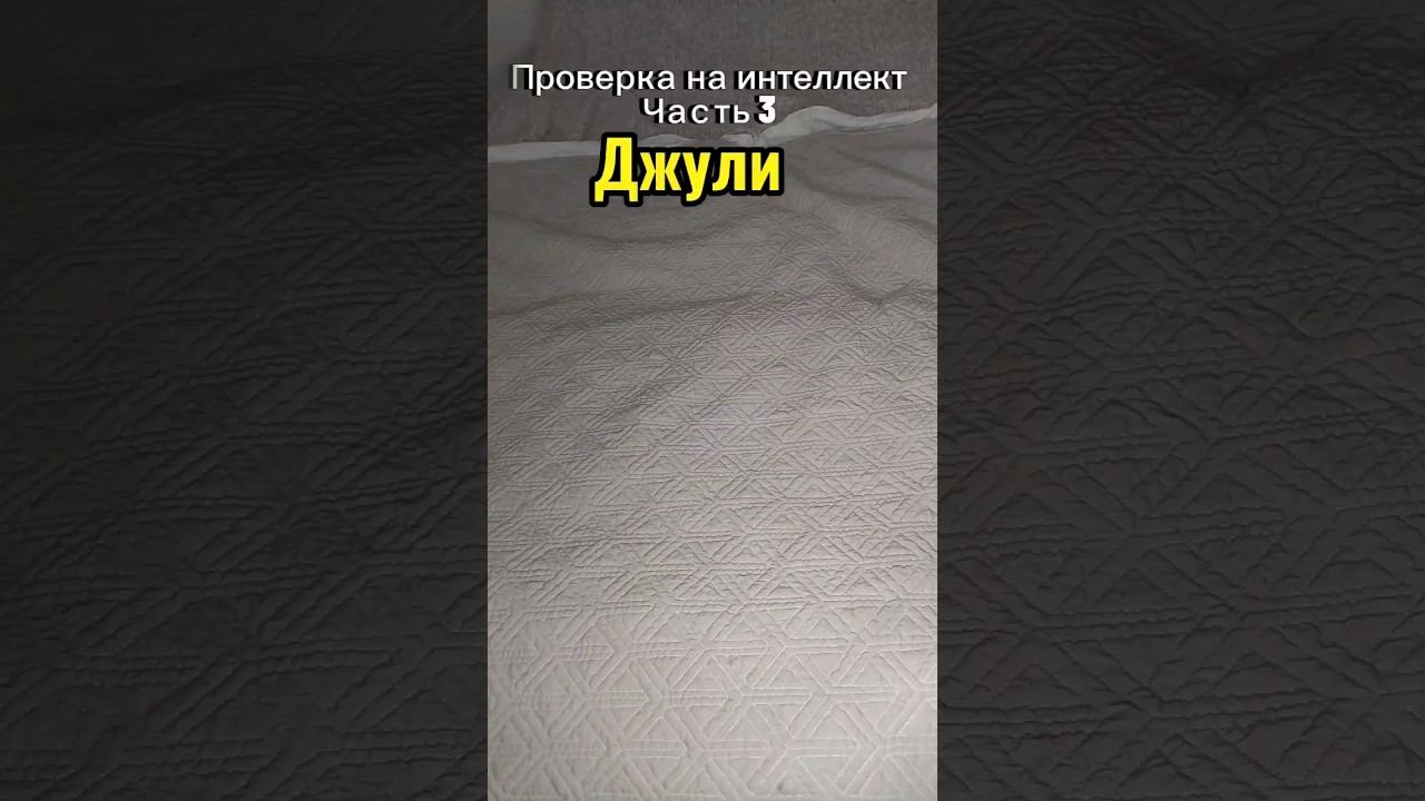 Проверки интеллекта собаки _часть 3_ Джули #собака #интересное_о_собаках #умнаясобака