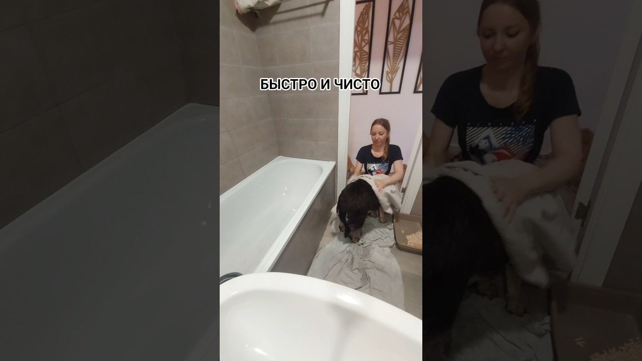 Самый простой способ помыть собаку