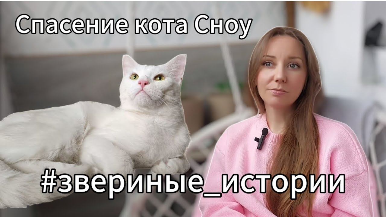 Спасение Сноу/ Звериные истории