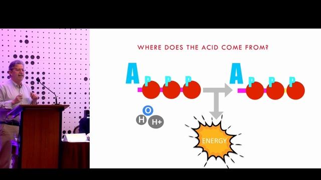 ESICM PHYSIOLOGY 6.6.25 Lactate dynamics - Singer M.