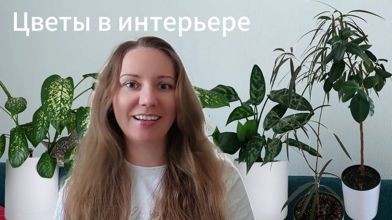 Красивые комнатные растения как украшение квартиры