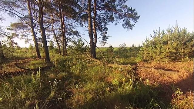 путник1956 Западный Кавказ 2025 День 3-4