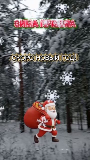 Зима пришла! Скоро Новый год!