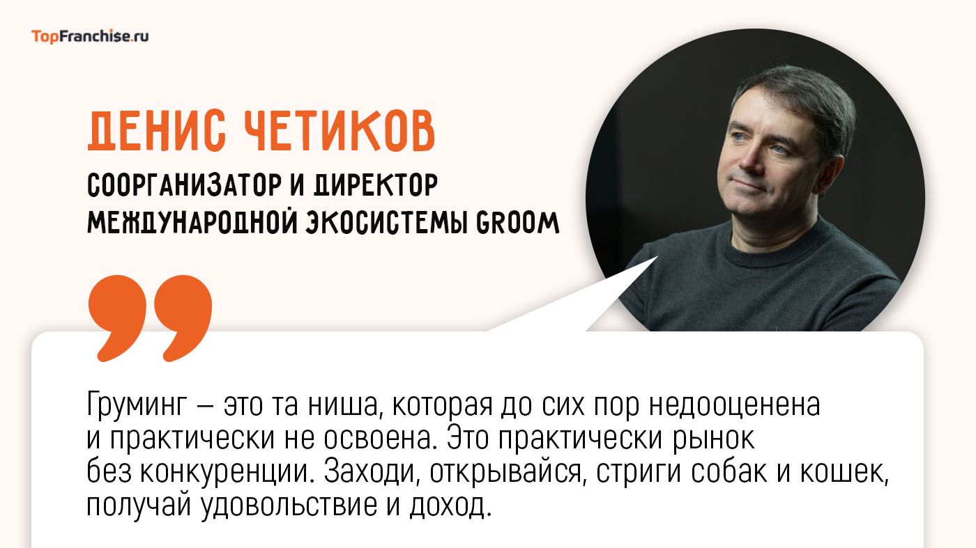 Как открыть груминг-салон по франшизе GROOM: бизнес-модель, стандарты и международный опыт