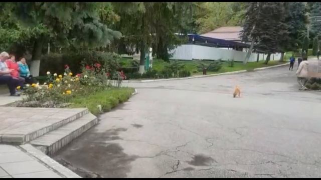 Нет худа без добра/Всё идёт по плану...