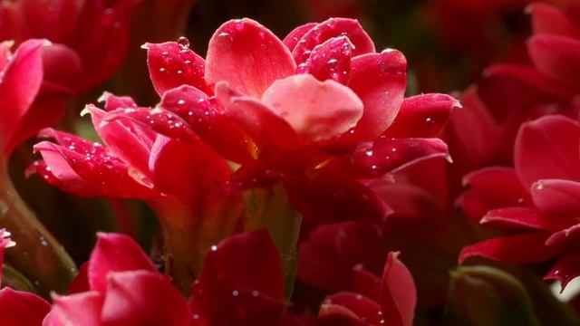 12 Обсуждение_темы_№6__Почему_греховная_плоть_