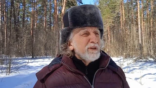 Метта. Защищенность. Торжество светлых сил.