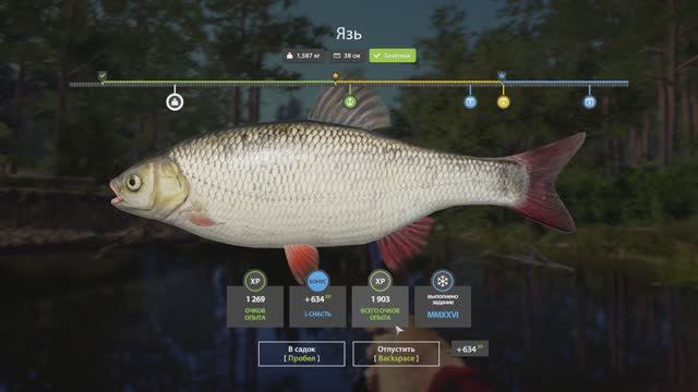 Русская рыбалка 4 Новогодние задания 2026