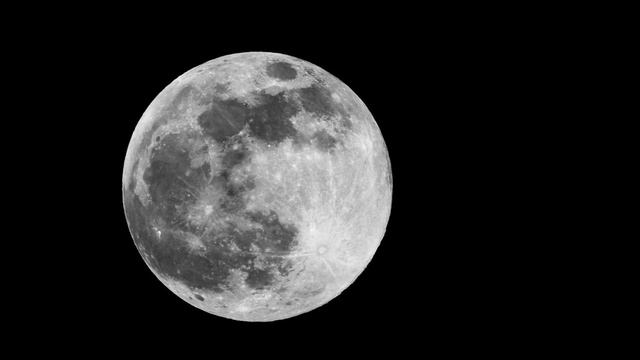 51755768761_04598d3d94_o