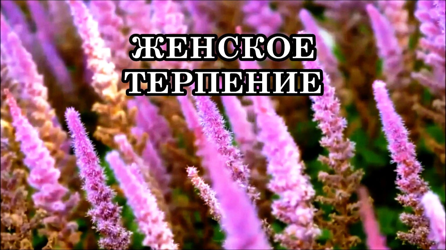ЖЕНСКОЕ ТЕРПЕНИЕ – НЕОТЪЕМЛЕМЫЙ АТРИБУТ ЯСНОВИДЕНИЯ. КАК ПРИМЕНЯТЬ СИЛУ ТЕРПЕНИЯ ГРАМОТНО?