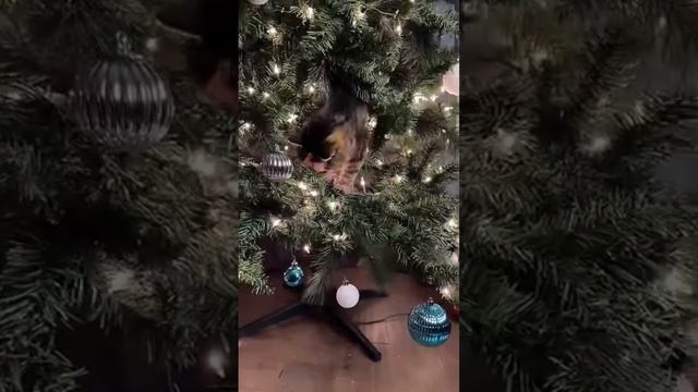 Мой любимый сериал. Продолжение бесконечности...