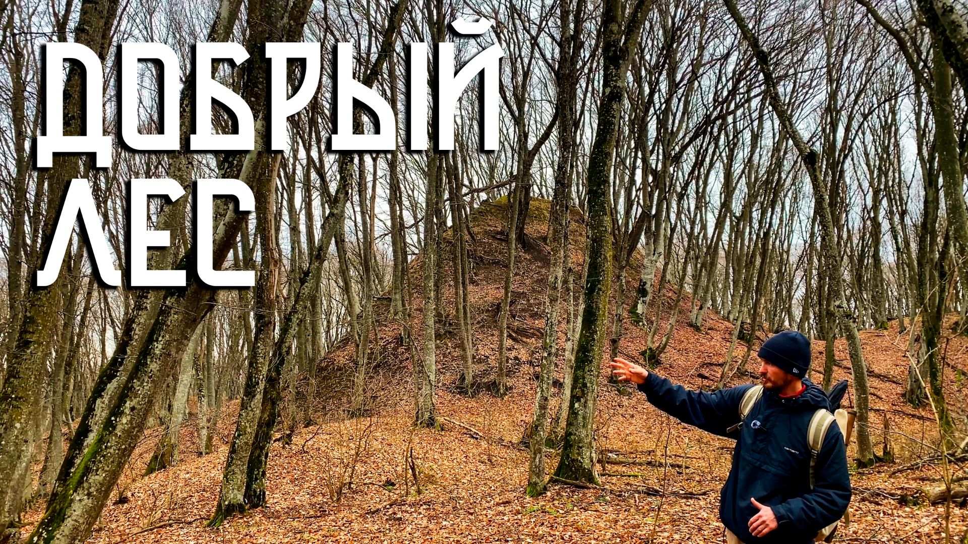 Добрый Лес / Один в Буковом Лесу / Загадочные Холмы