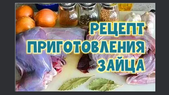 РЕЦЕПТ ПРИГОТОВЛЕНИЯ ЗАЙЦА - Артемьев Артём (Белгород) .#охотасгончей#собака #животН #топ #hunting