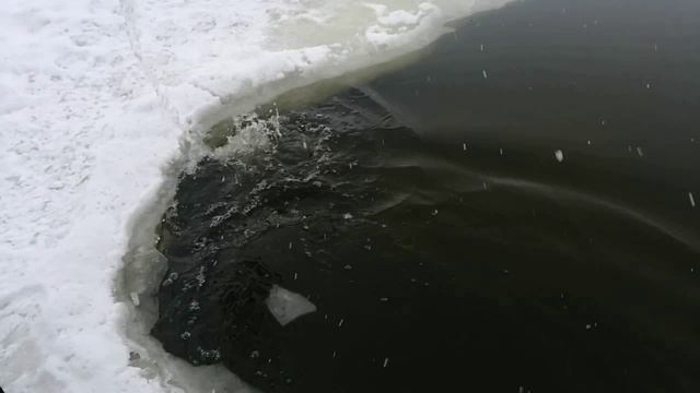 Немного рыбки наловил