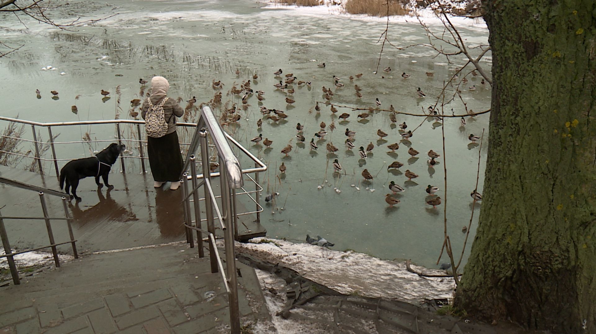 Актуальная тема - Каскадные пруды